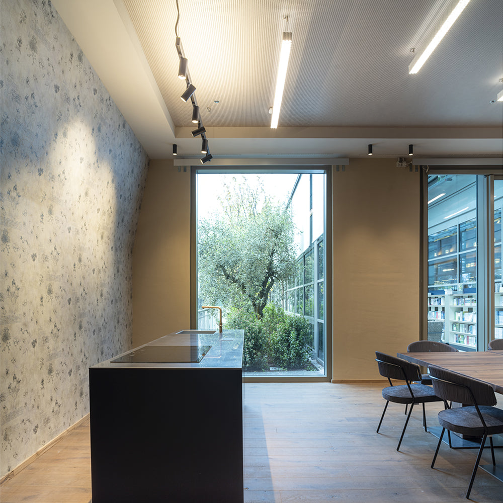 Linear Suspension Fixtures