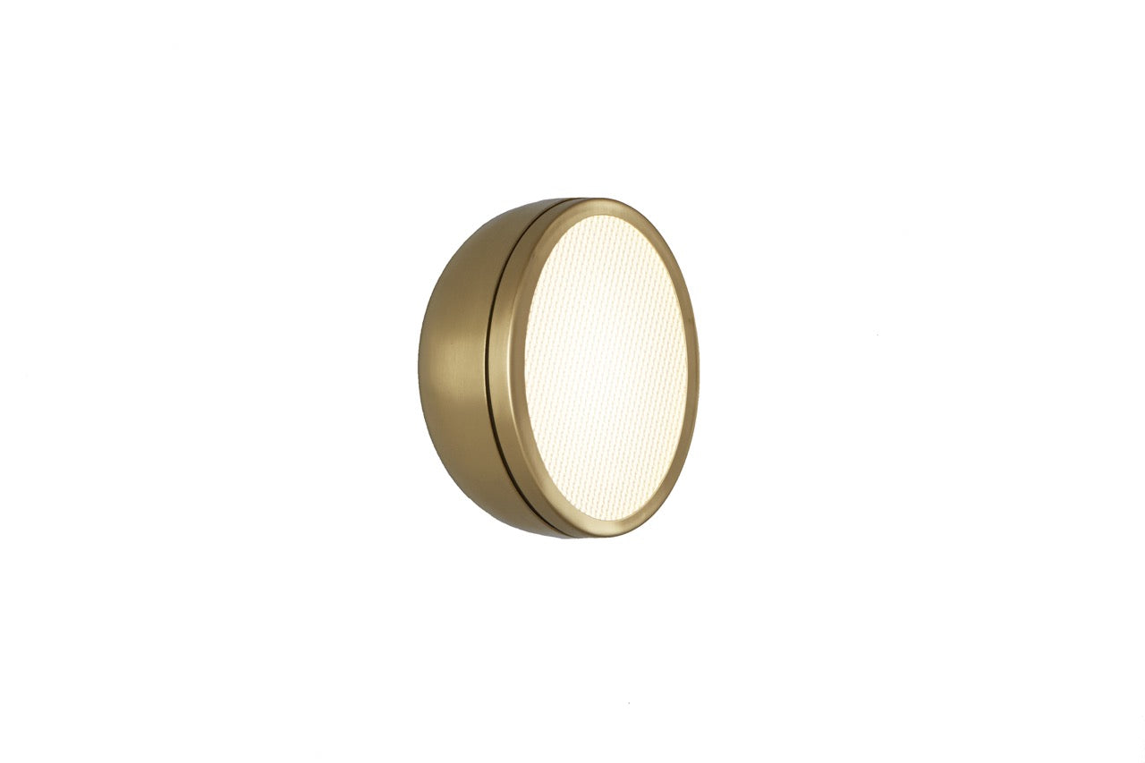 Molly Wall/Ceiling Light